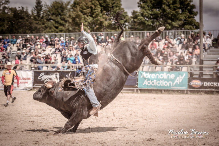 Rodeo’Show | EQUIBLUES WESTERN FESTIVAL