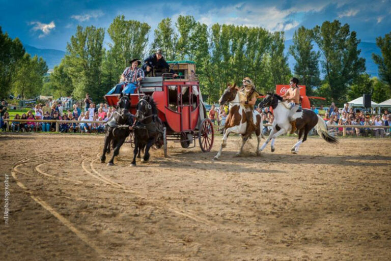 Spectacle Western | EQUIBLUES WESTERN FESTIVAL